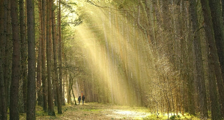 One Quiet Presence - A Poem by David Ritter - Ritters Rhyme and Reason